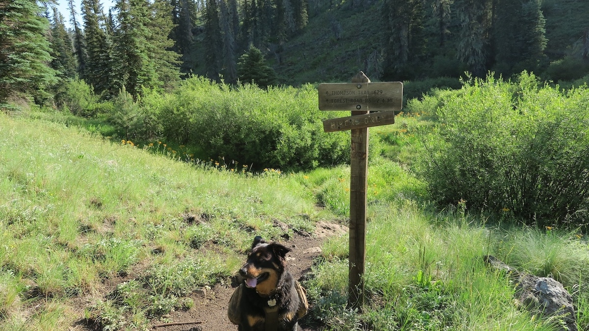 Thompson Trail #629 - Arizona White Mountain Gallery